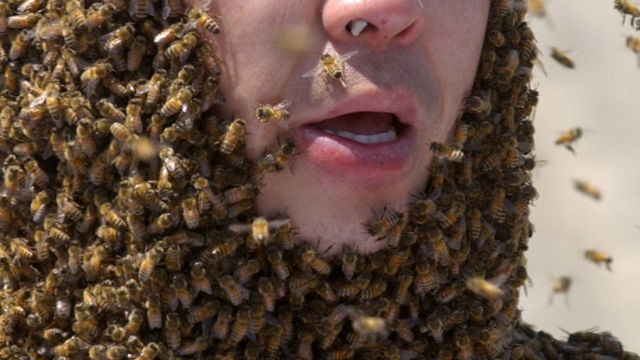 Man Dies After Being Attacked by a Swarm of Bees, Found Covered in ...