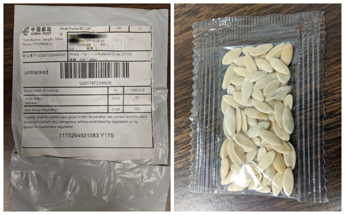 USDA Investigation Reveals 14 Varieties in Unsolicited Seeds Mailed ...