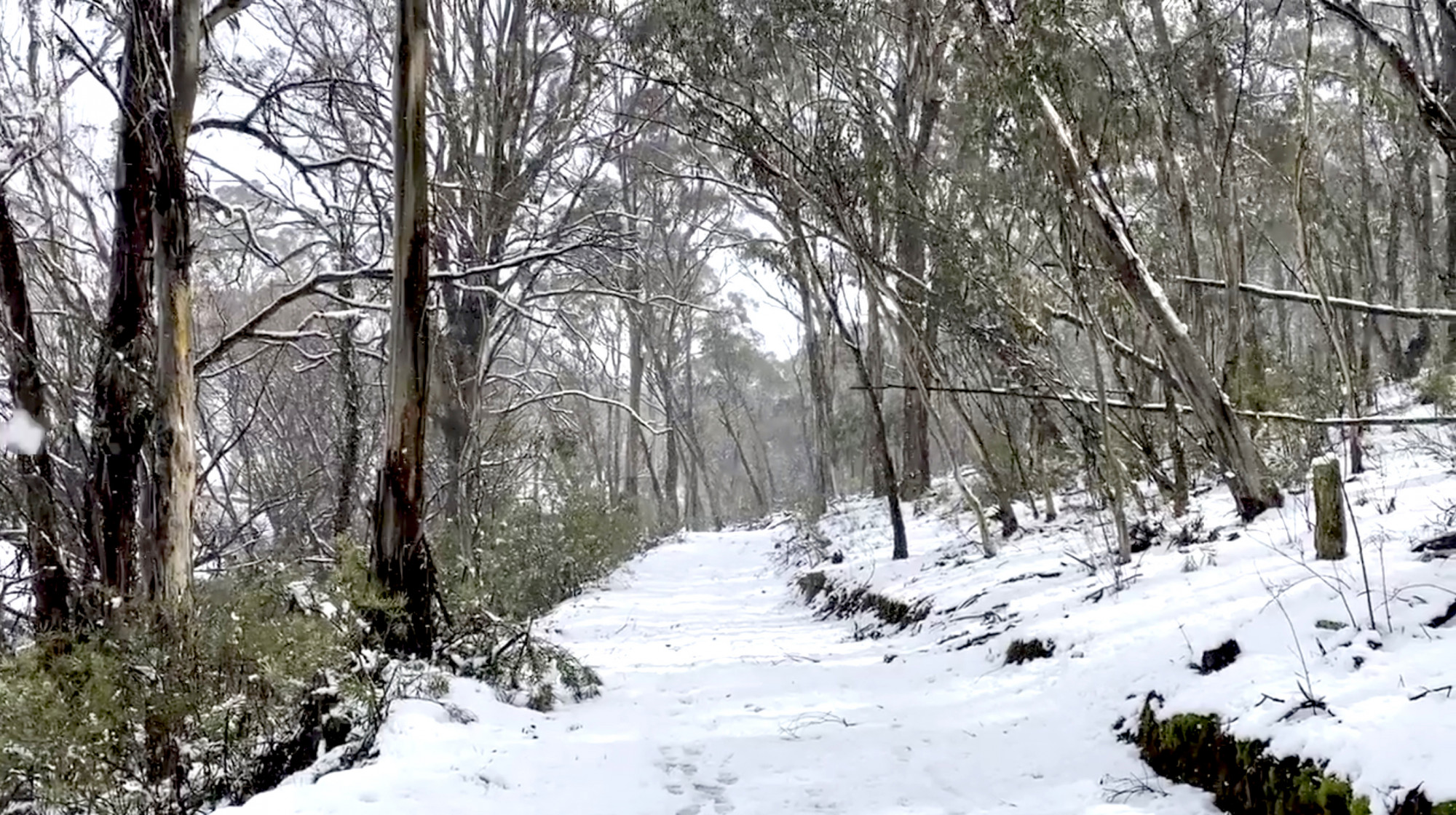 Antarctic Winds Trigger Rare Snowfall Across Southeast Australia