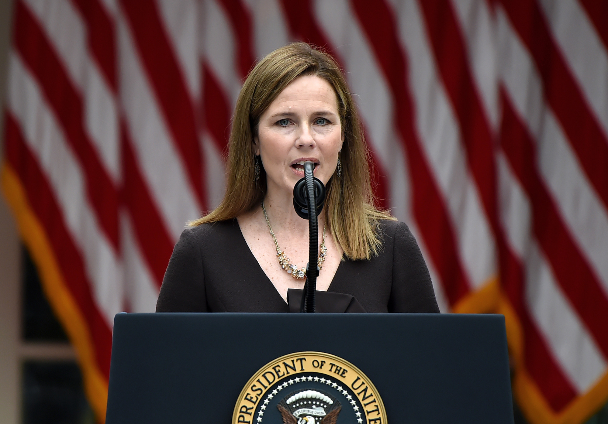 Senate Democrats Vow to Oppose Supreme Court Nominee Amy Coney Barrett