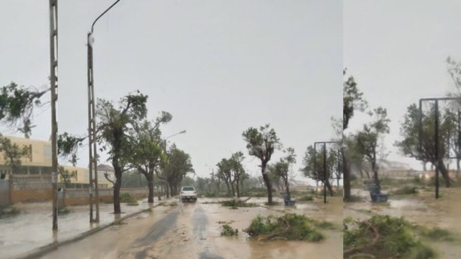 Tropical Cyclone Eloise Makes Landfall in Mozambique, Loses Strength