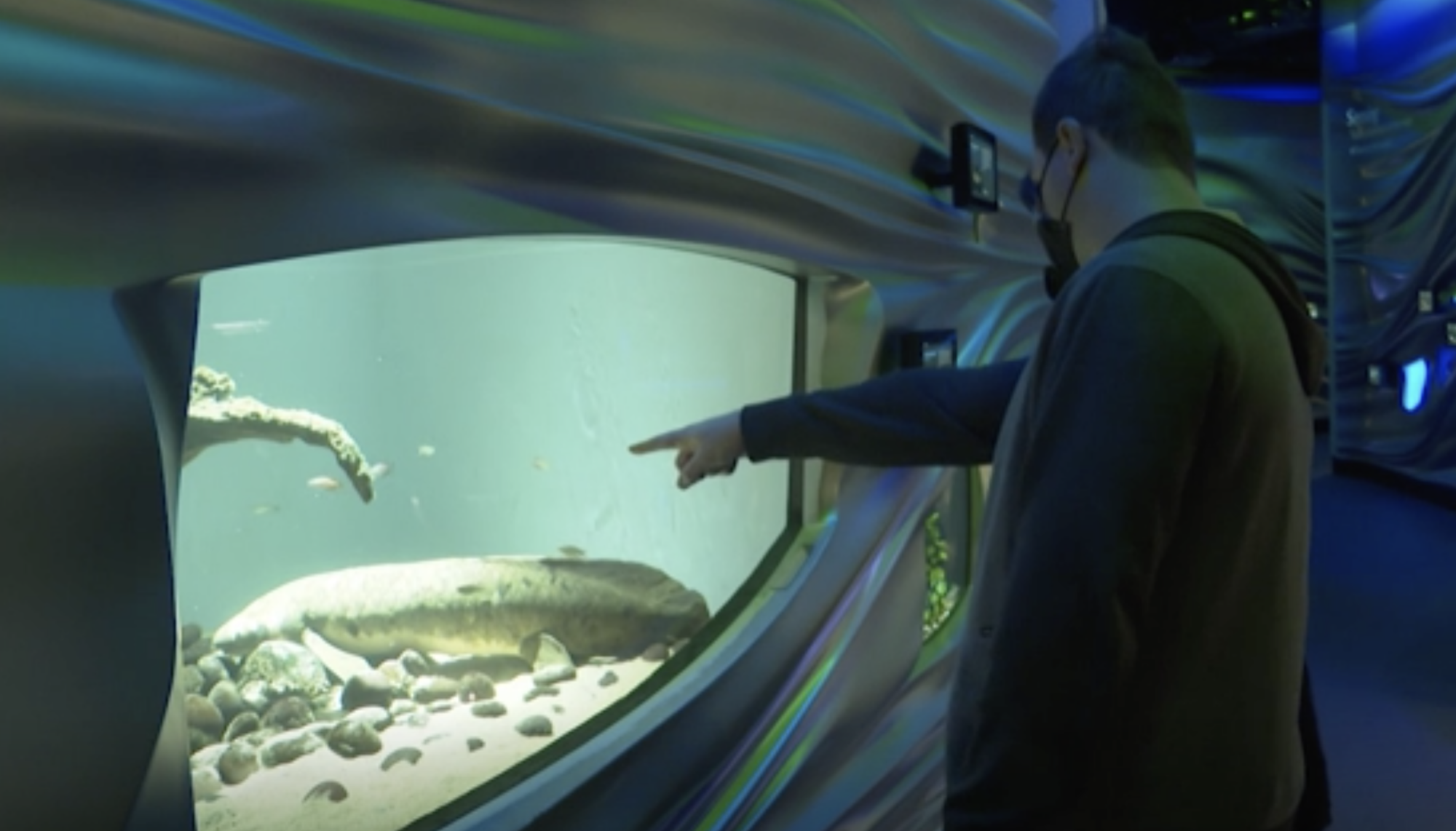 Meet Methuselah, the Oldest Aquarium Fish