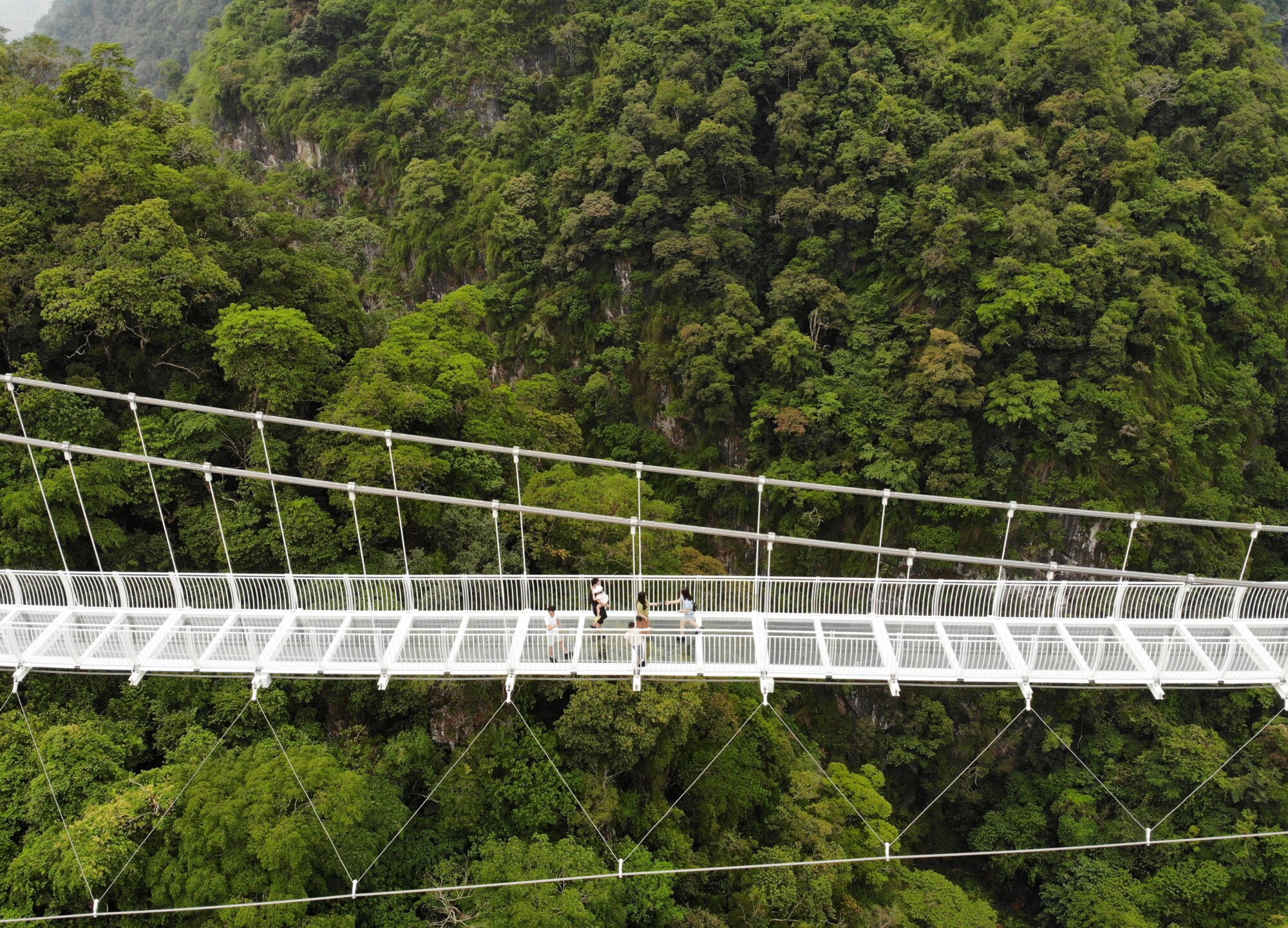 Vietnam’s New Glass Bridge Sets Guinness World Record
